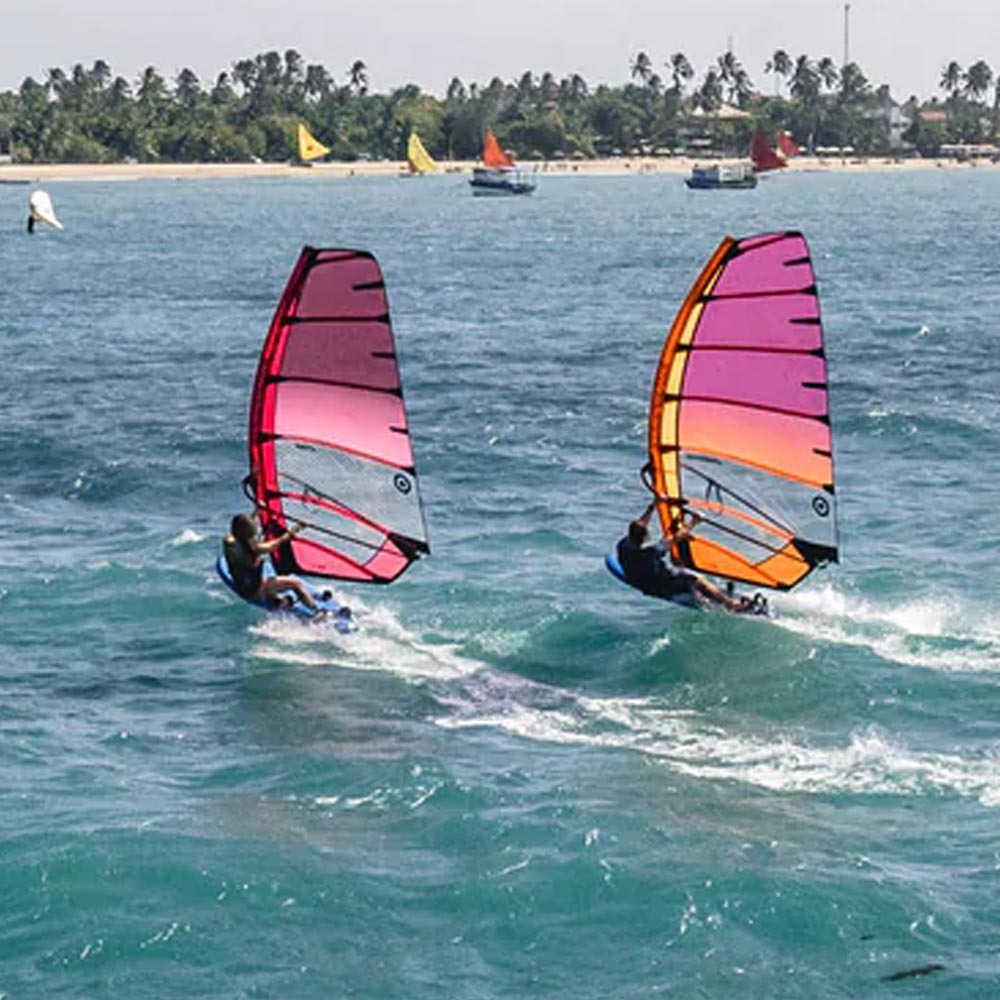 Windsurf Sails Foil